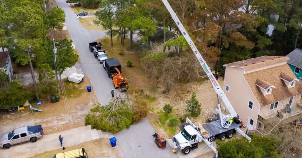 24/7 Emergency Tree Service | Outer Banks, NC | Albemarle Landscapes ...