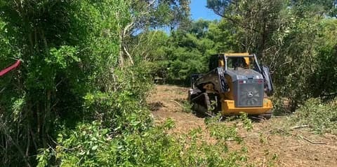 Land Management | Outer Banks, NC | Albemarle Landscapes and Tree Service