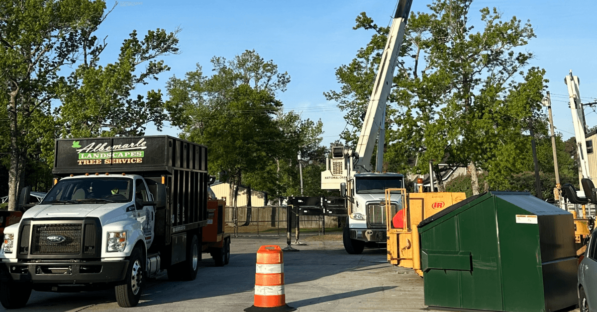 Tree Service Currituck, NC | Albemarle Landscapes and Tree Service