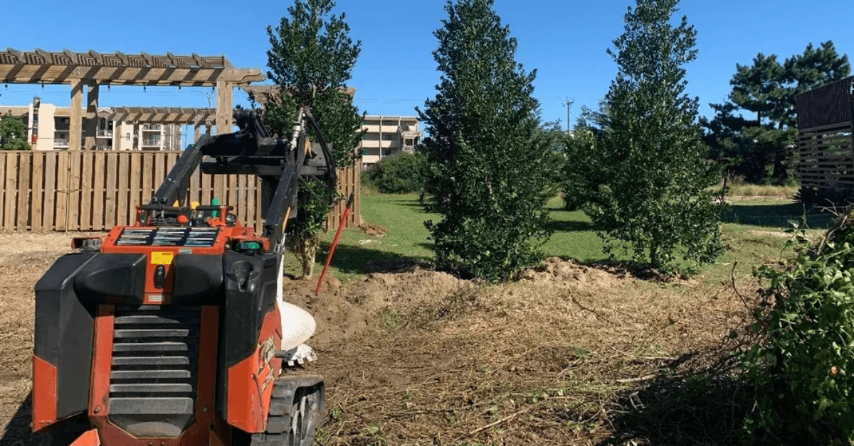 Tree Planting Outer Banks, NC | Albemarle Landscapes and Tree Service